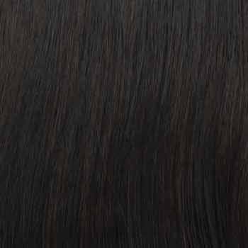 GL2-6 | Black Coffee by Eva Gabor Luminous WIgs | Photos & Descriptions