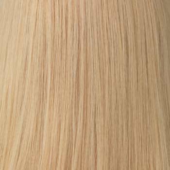 BL9 | Light Golden Blonde by Raquel Welch Human Hair | Photos ...