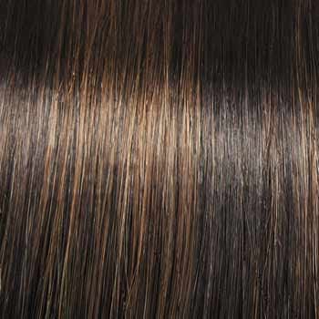 SS4/10 | Shaded Iced Java by Raquel Welch Wigs | Photos & Descriptions