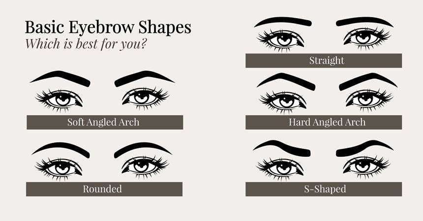 What Is The Most Attractive Eyebrow Shape Fabalabse