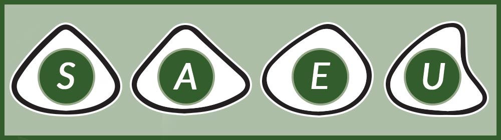 Breast Form Buying Guide